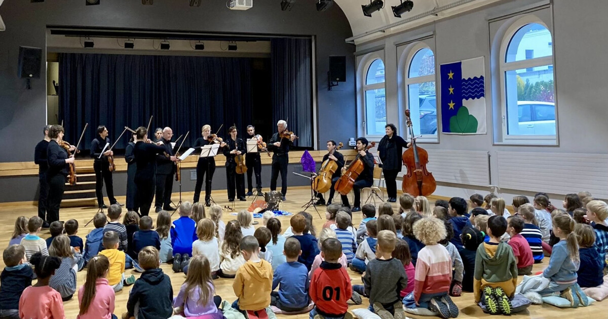 Camerata Bern - Schulkonzerte im Kanton Bern
